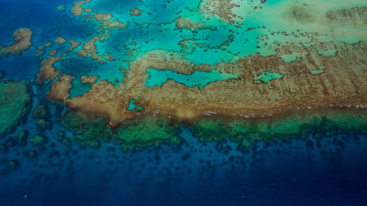 Regenerative Escapes Tourism Company (DMC) | Red Sea Global